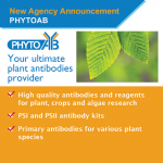 BioSynTech Malaysia Group Sdn Bhd | BioSyntech Malaysia Group Sdn Bhd