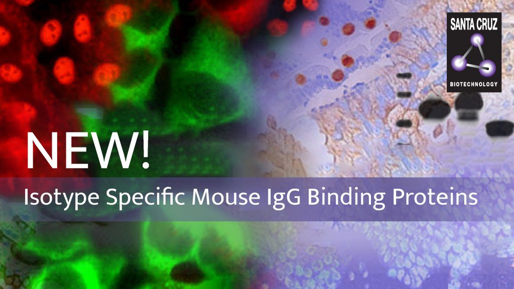 BioSynTech Malaysia Group Sdn Bhd | SANTA CRUZ | Isotype Specific Mouse ...