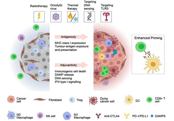 BioSynTech Malaysia Group Sdn Bhd | [MCE] Cold and Hot Tumors