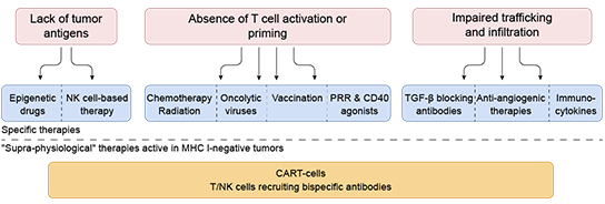 BioSynTech Malaysia Group Sdn Bhd | [MCE] Cold and Hot Tumors