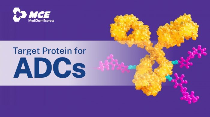 BioSynTech Malaysia Group Sdn Bhd | [MCE] Target Protein for ADCs