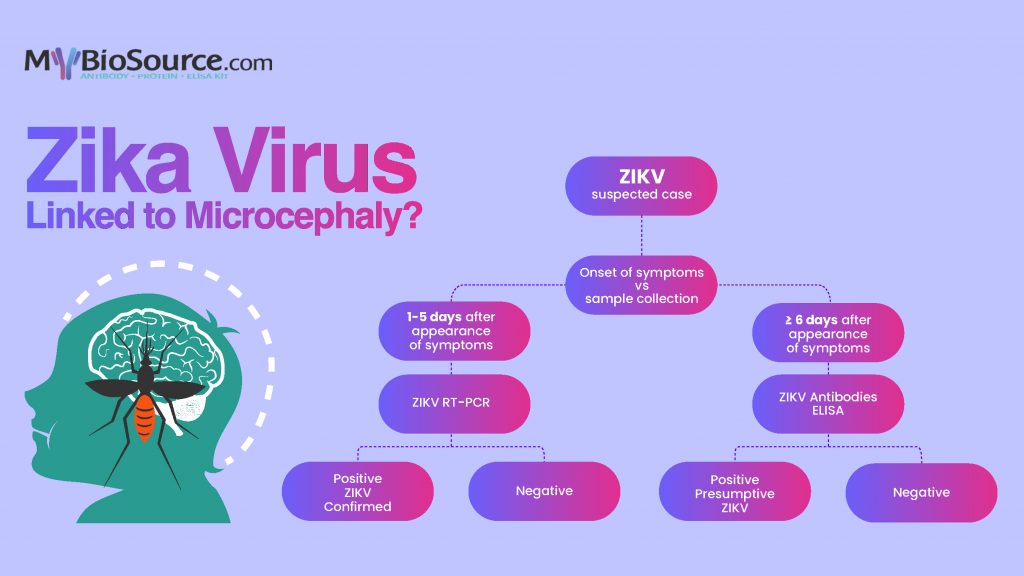 BioSynTech Malaysia Group Sdn Bhd | [MYBIOSOURCE]: Zika Virus Linked to ...