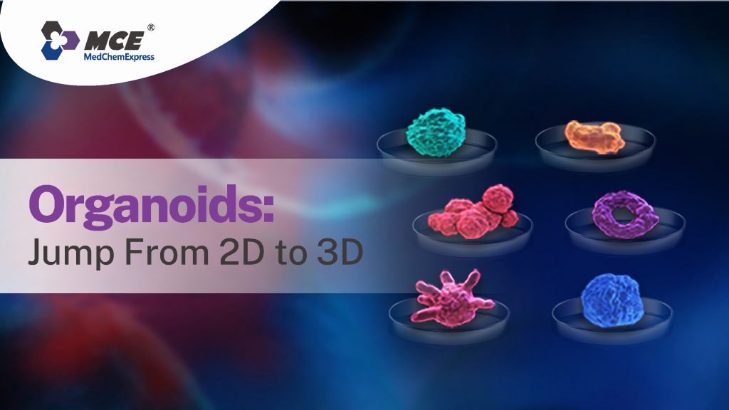 BioSynTech Malaysia Group Sdn Bhd | [MCE] Organoids: Jump From 2D to 3D