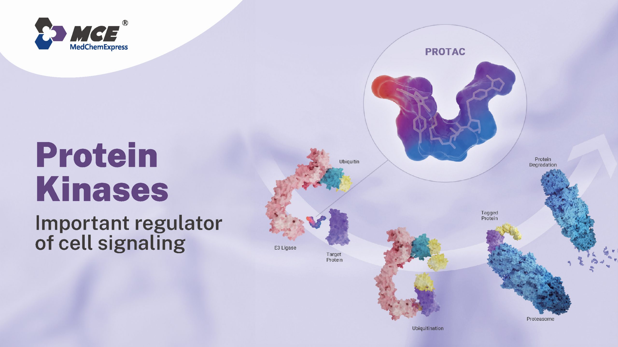 BioSynTech Malaysia Group Sdn Bhd | [MCE] Protein kinases—important ...