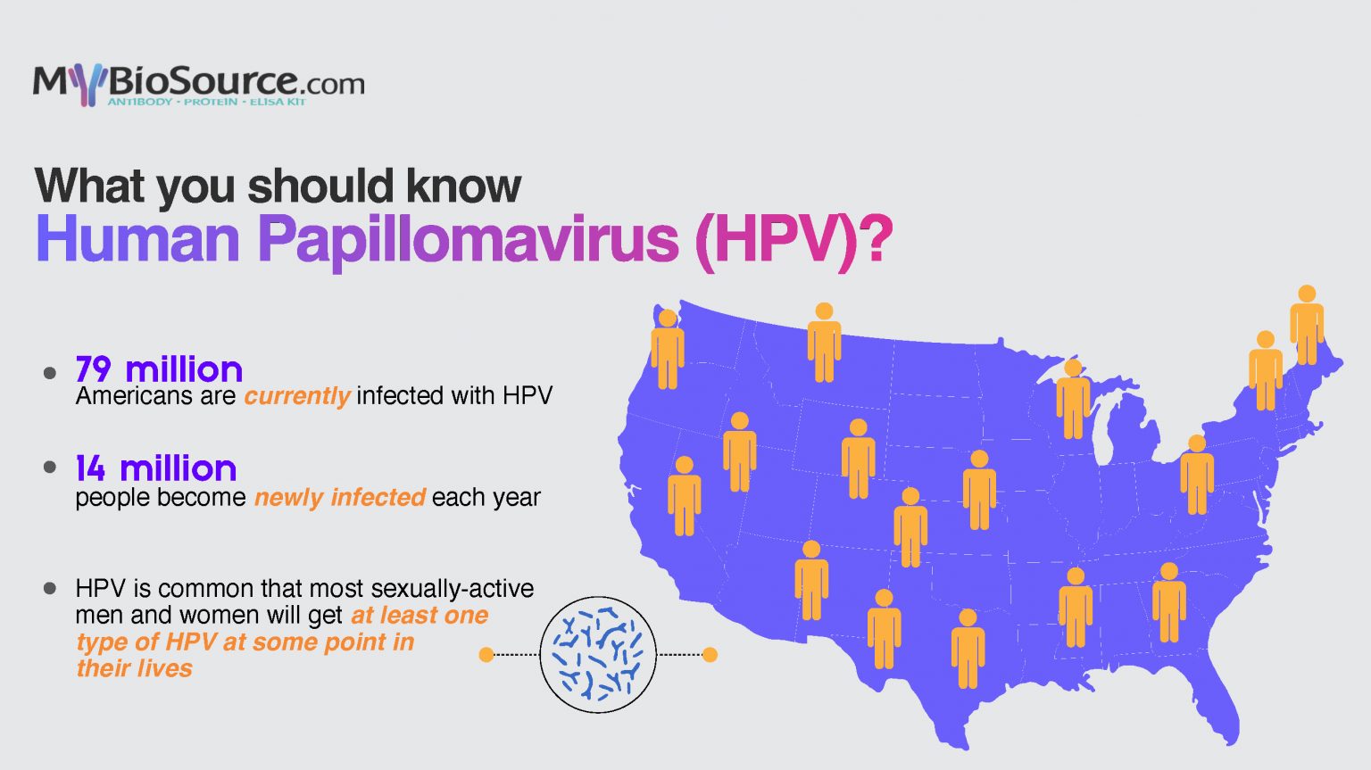 BioSynTech Malaysia Group Sdn Bhd | [MyBioSource] What you should know Human Papillomavirus (HPV)?